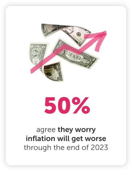 Toys: IPN Campaign Performance